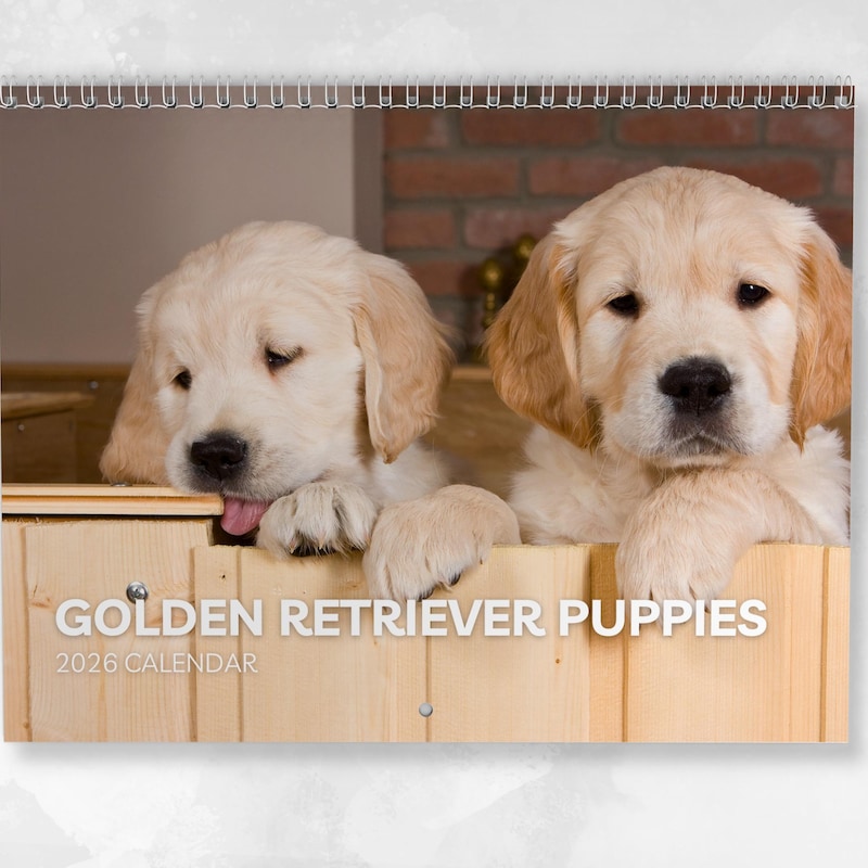 Guide Dogs Calendar 2026 - Etsy UK