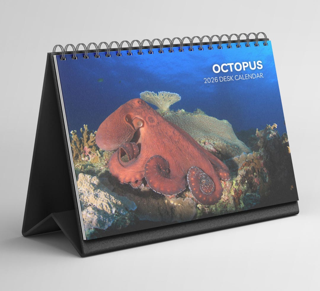 Octopus Desk Calendar 2026-2027: Standing Flip Desktop Calendar With ...