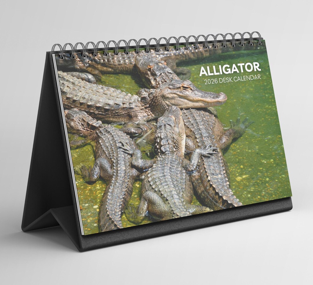 Alligator Desk Calendar 2026-2027: Standing Flip Desktop Calendar With ...