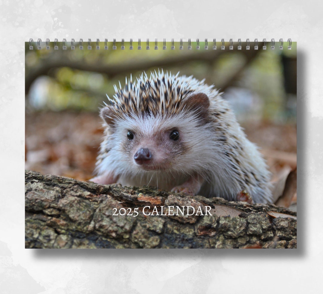 Hedgehog Calendar 2025: Monthly Wall Calendar With Notes, Opens to A3 ...