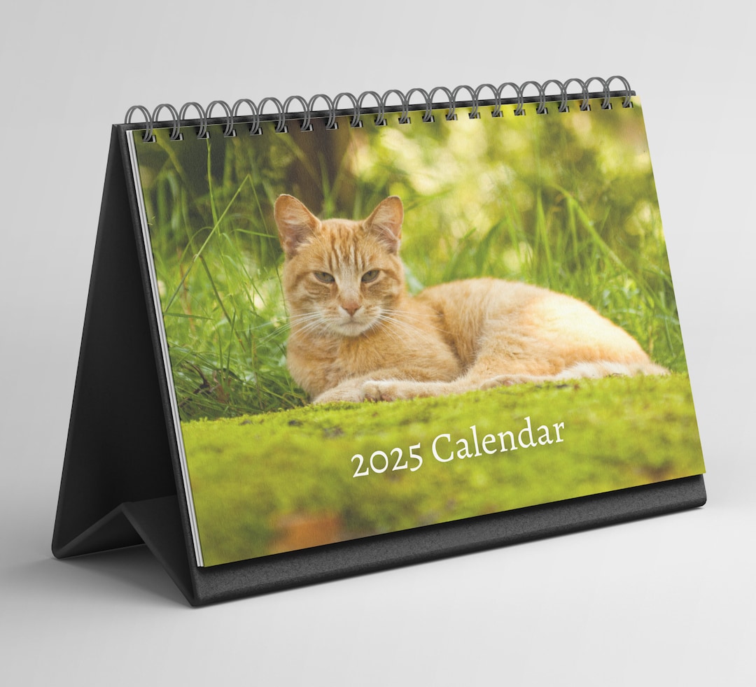 Ginger Cat Desk Calendar 2025-2026: Standing Flip Desktop Calendar With ...