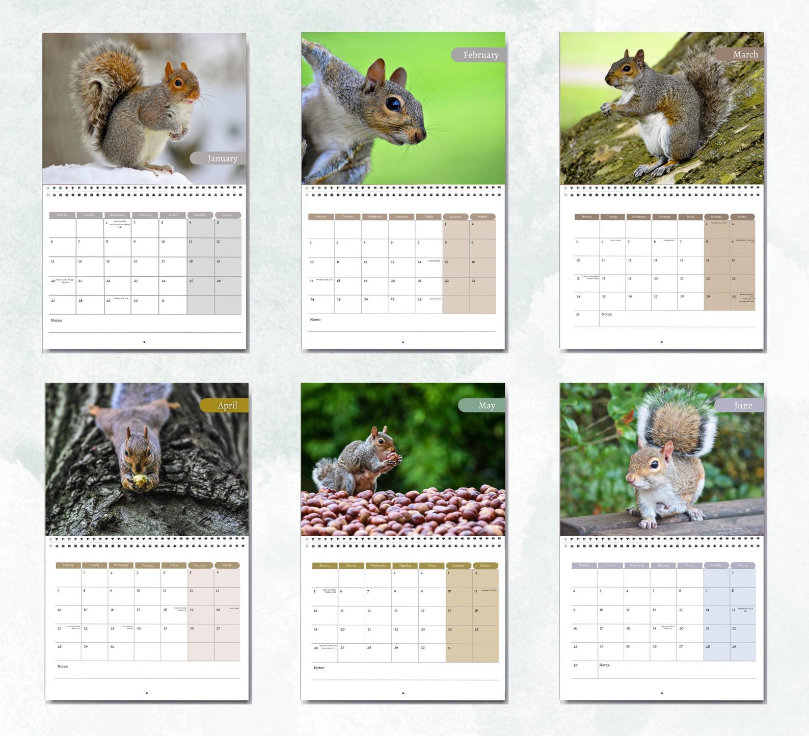 Squirrel Calendar 2026: Monthly Wall Calendar With Notes, Opens to A3 ...