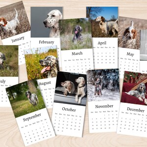 English Setter Calendar 2025: Mini Desk Calendar, Perfect Gift for ...