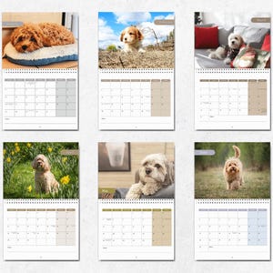 Cavapoo Calendar 2025: Monthly Wall Calendar With Notes, Opens to A3 ...