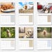Cavapoo Calendar 2025: Monthly Wall Calendar With Notes, Opens to A3 ...