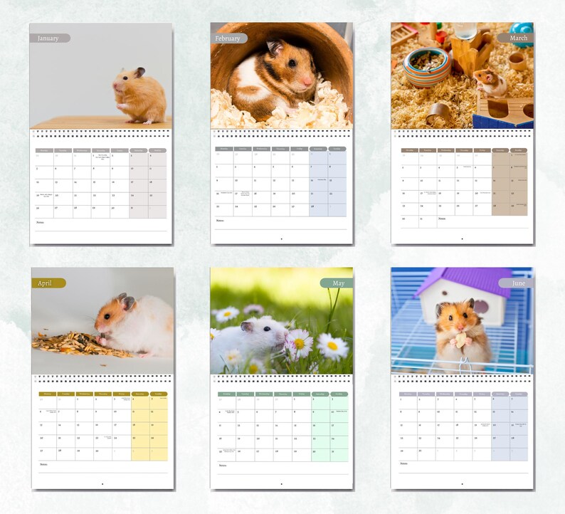 Hamster Calendar 2026: Monthly Wall Calendar With Notes, Opens to A3 ...