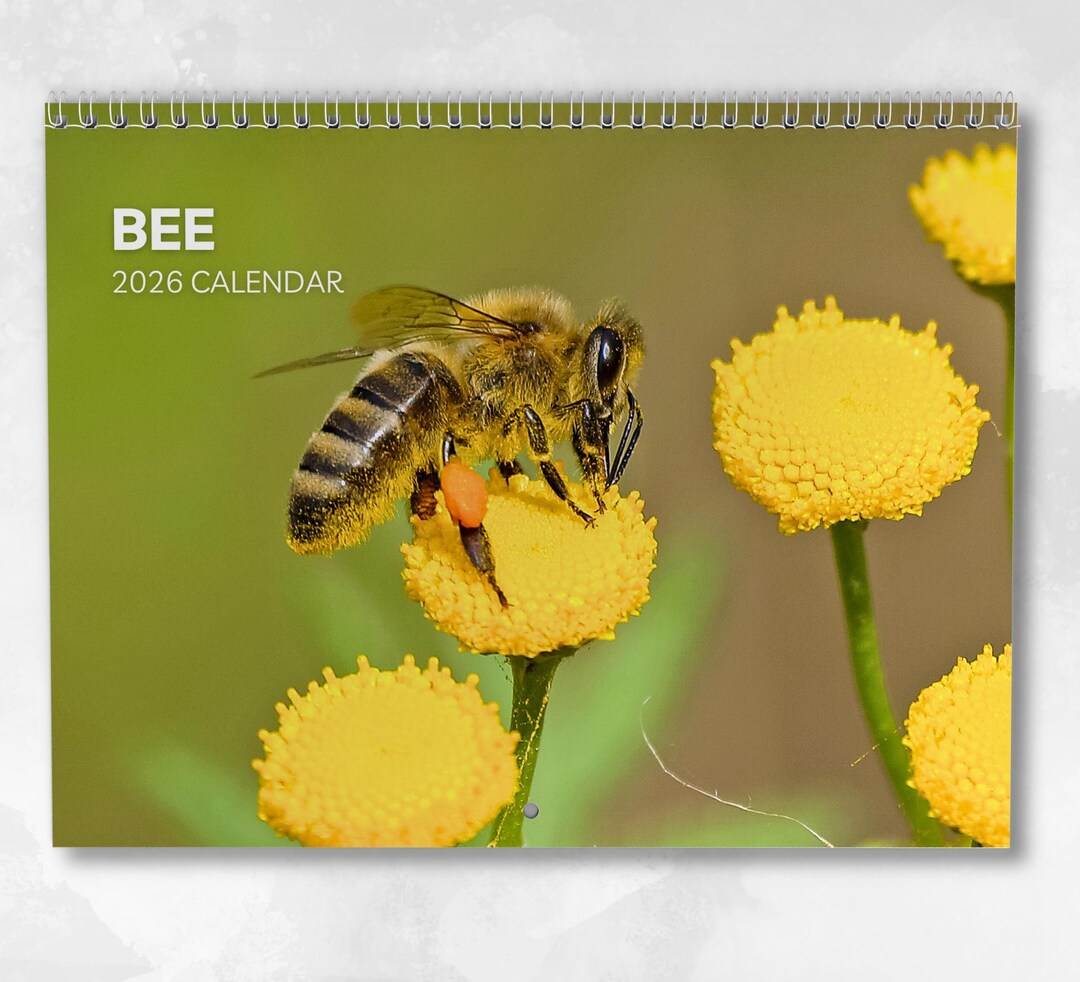 Bee Calendar 2026: Monthly Wall Calendar With Notes, Opens to A3 Size ...
