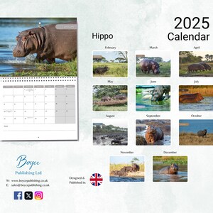 Hippo Calendar 2025: Monthly Wall Calendar With Notes, Opens to A3 Size ...