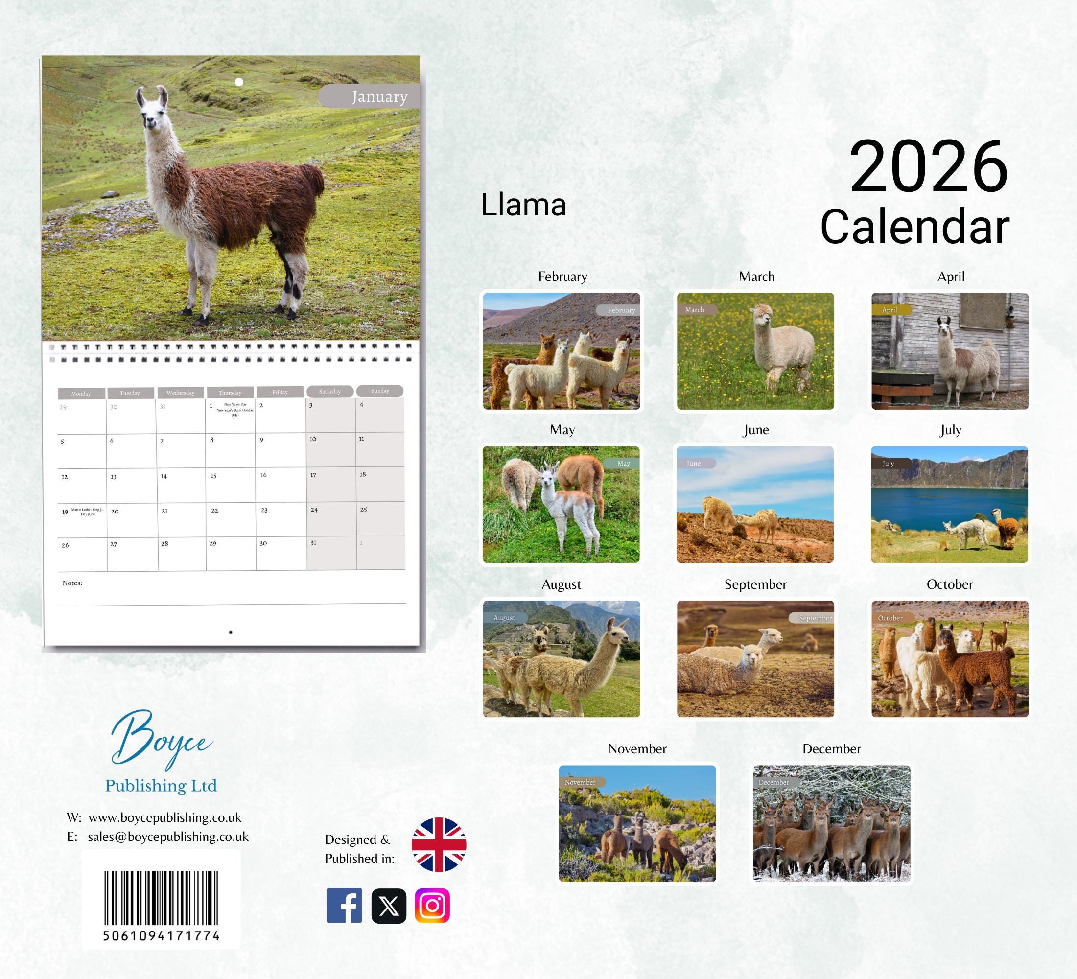 Llama Calendar 2026: Monthly Wall Calendar With Notes, Opens to A3 Size ...