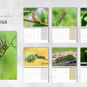 Caterpillar Calendar 2025: Monthly Wall Calendar With Notes, Hanging A4 ...