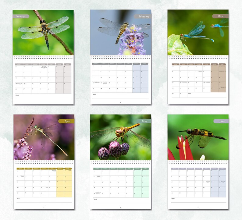 Dragonfly Calendar 2026: Monthly Wall Calendar With Notes, Opens to A3 ...