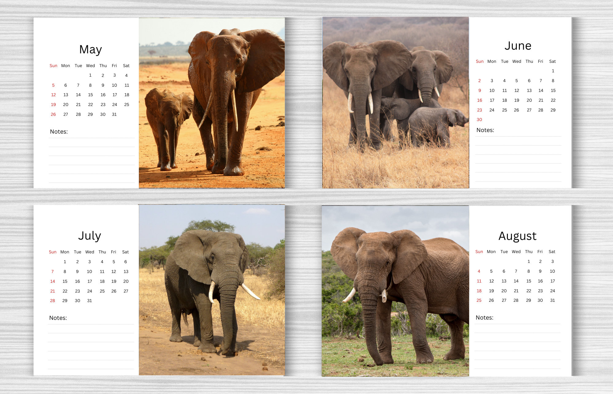 Elephant Desk Calendar 2024 | Desktop calendar | Elephant Calendar 2024 ...