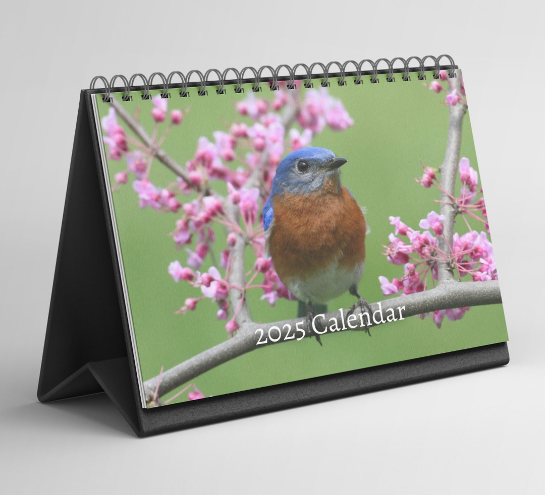 Bluebird Desk Calendar 2025-2026: Standing Flip Desktop Calendar With ...