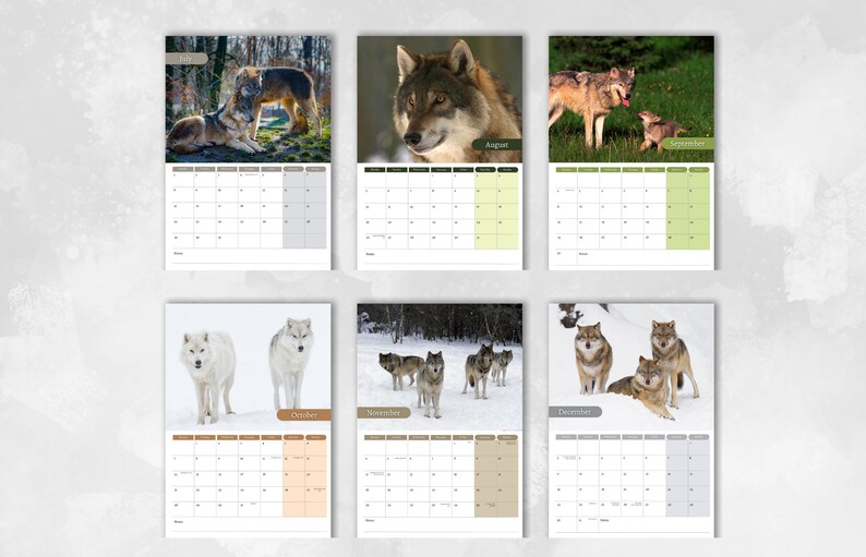 Wolf Calendar 2024 Monthly Wall Calendar, A4 Hanging Calendar Perfect ...