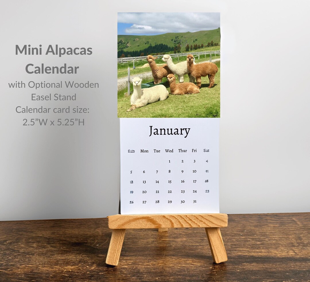 Alpacas Calendar 2025: Mini Desk Calendar, Alpacas Calendar 2025-2026 ...