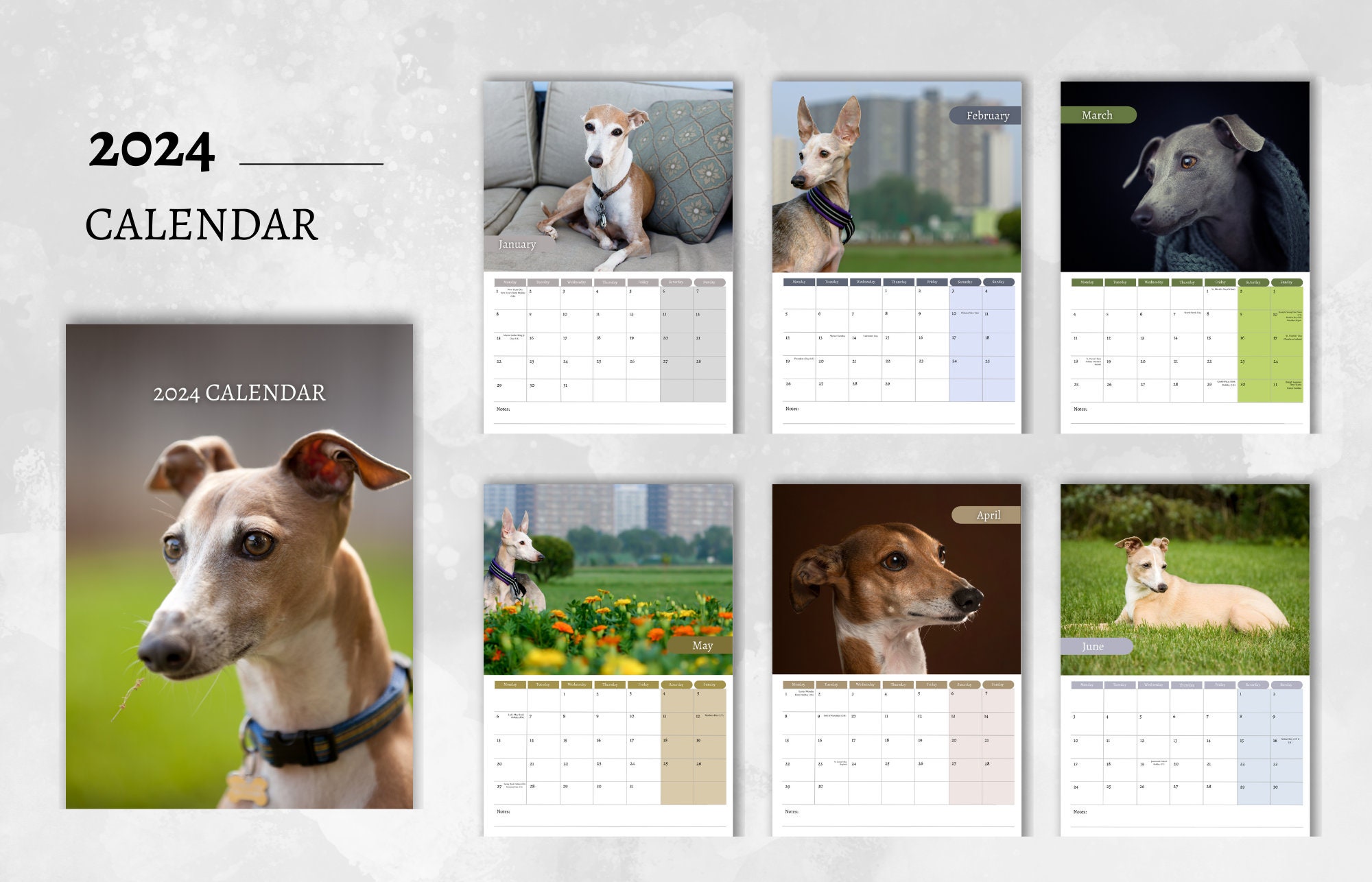 Italian Greyhound Calendar 2024 Monthly Wall Calendar, A4 Hanging ...