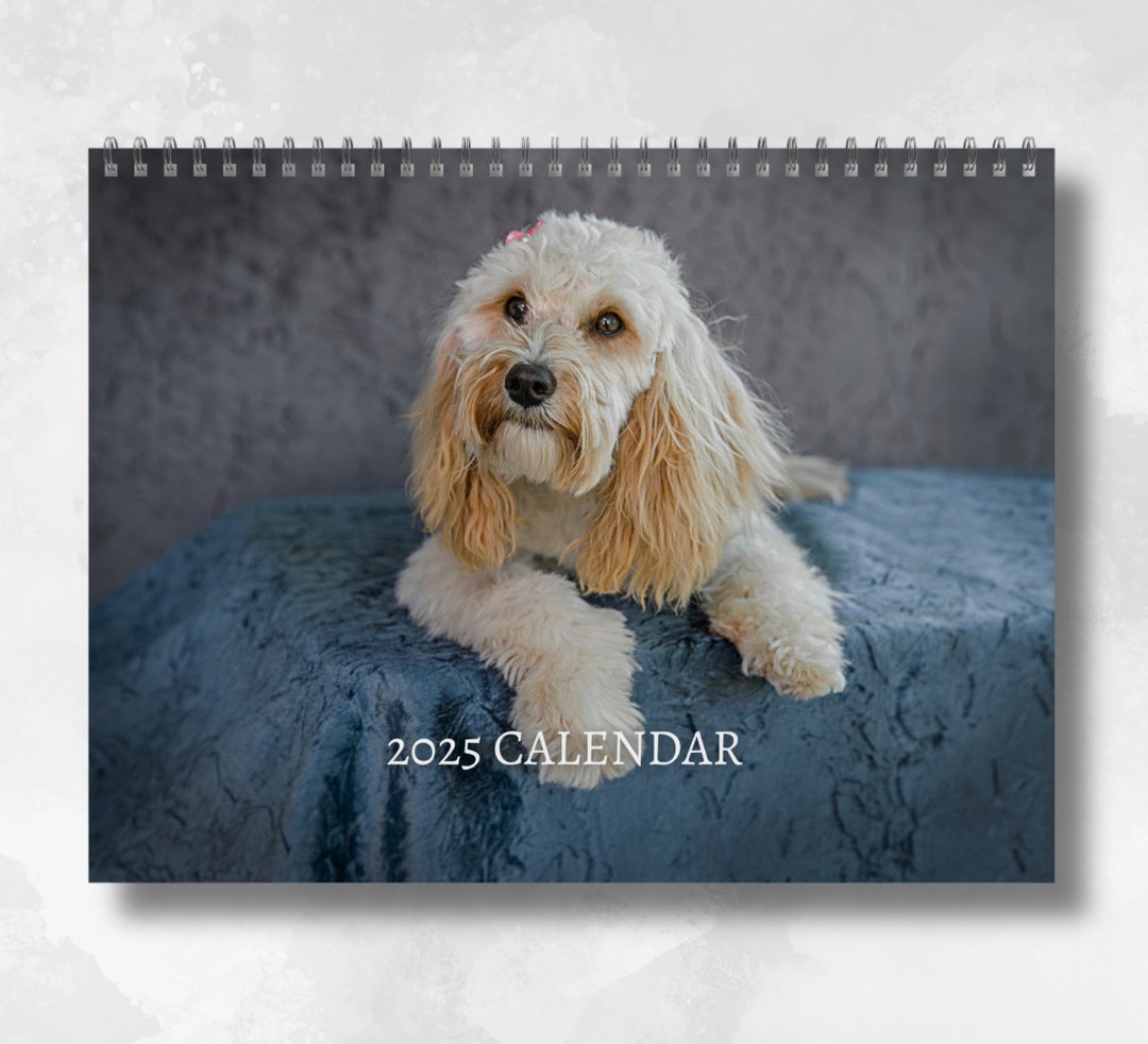 Cavapoo Calendar 2025: Monthly Wall Calendar With Notes, Opens to A3 ...