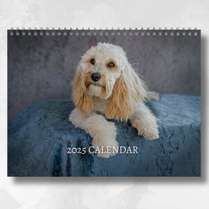Cavapoo Calendar 2025: Monthly Wall Calendar With Notes, Opens to A3 ...