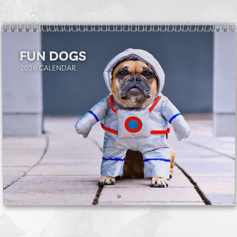 Calendars 2026 Wall Dogs - Etsy UK