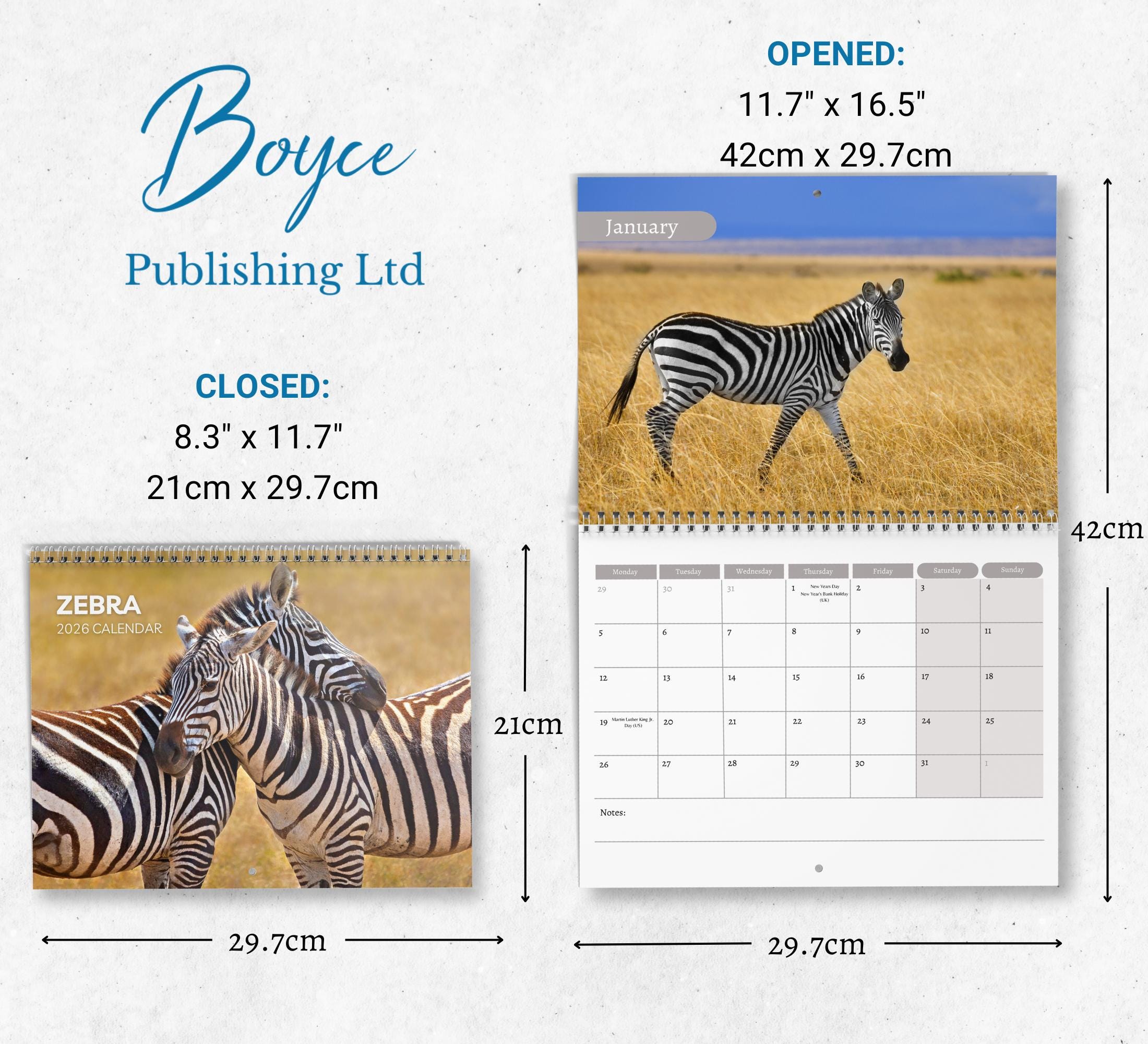 Zebra Calendar 2026: Monthly Wall Calendar With Notes, Opens to A3 Size ...