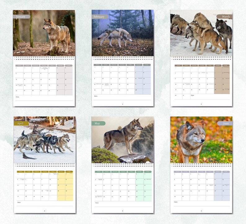 Wolf Calendar 2026: Monthly Wall Calendar With Notes, Opens to A3 Size ...