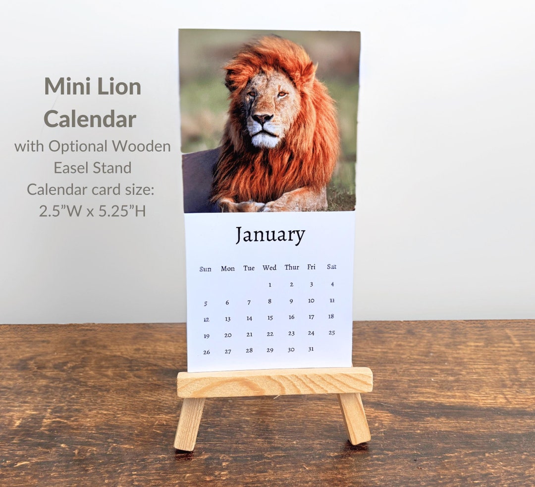 Lion Calendar 2025: Mini Desk Calendar, Lion Calendar 2025-2026 ...