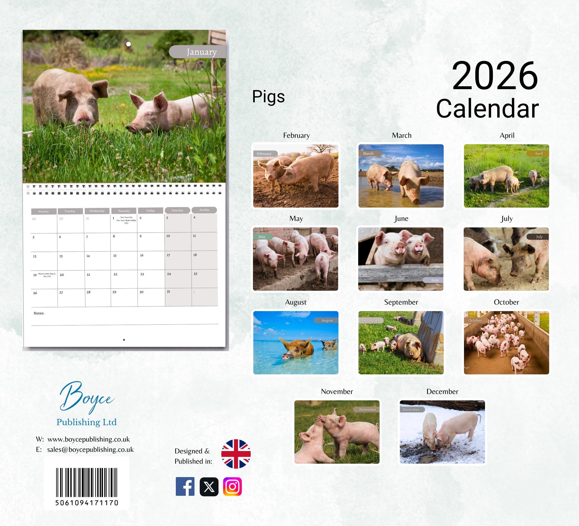 Pigs Calendar 2026: Monthly Wall Calendar With Notes, Opens to A3 Size ...