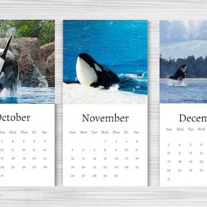Orca Calendar 2025: Mini Desk Calendar, Orca Calendar 2025-2026 ...