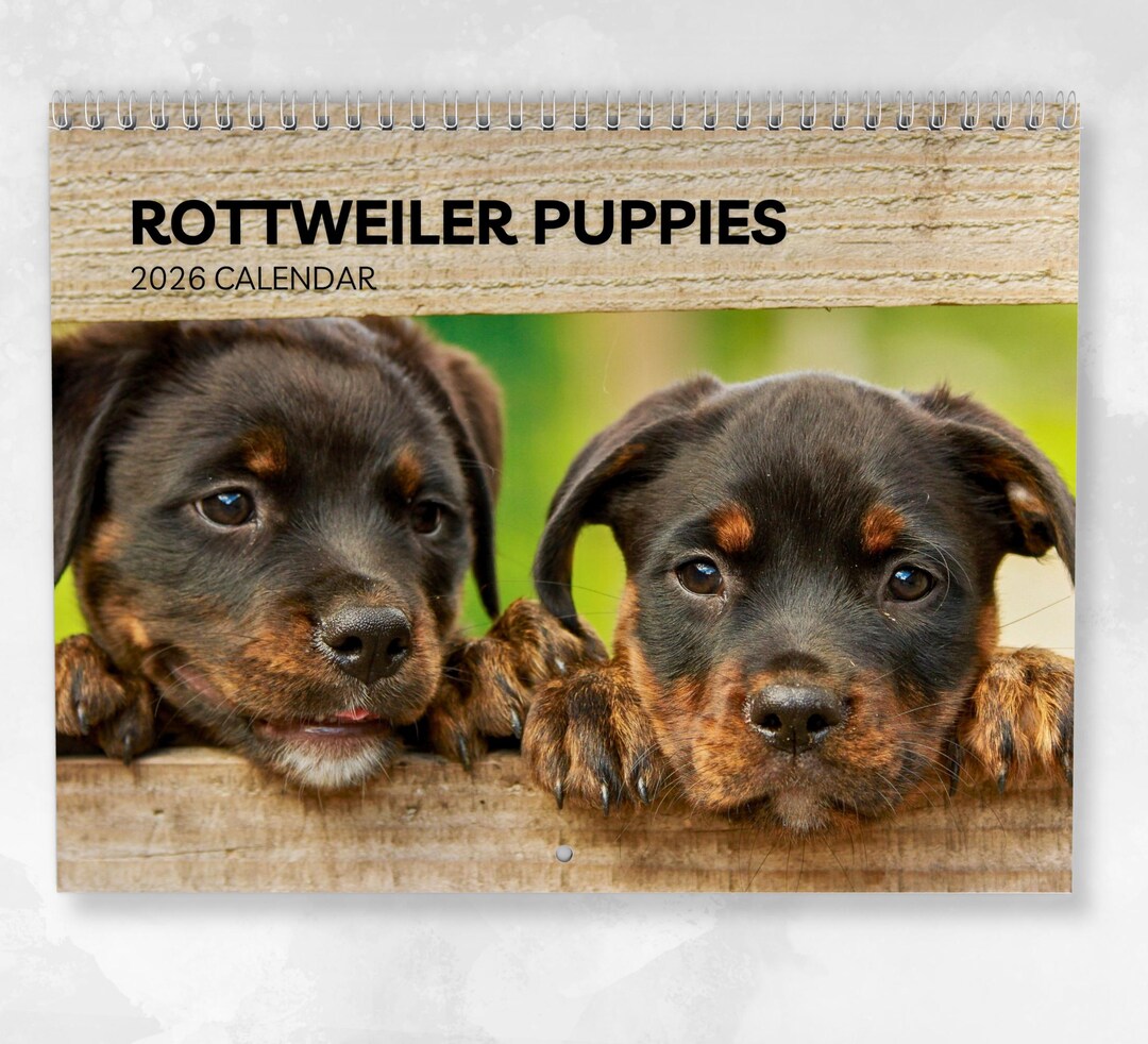 Rottweiler Puppies Calendar 2026: Monthly Wall Calendar With Notes ...
