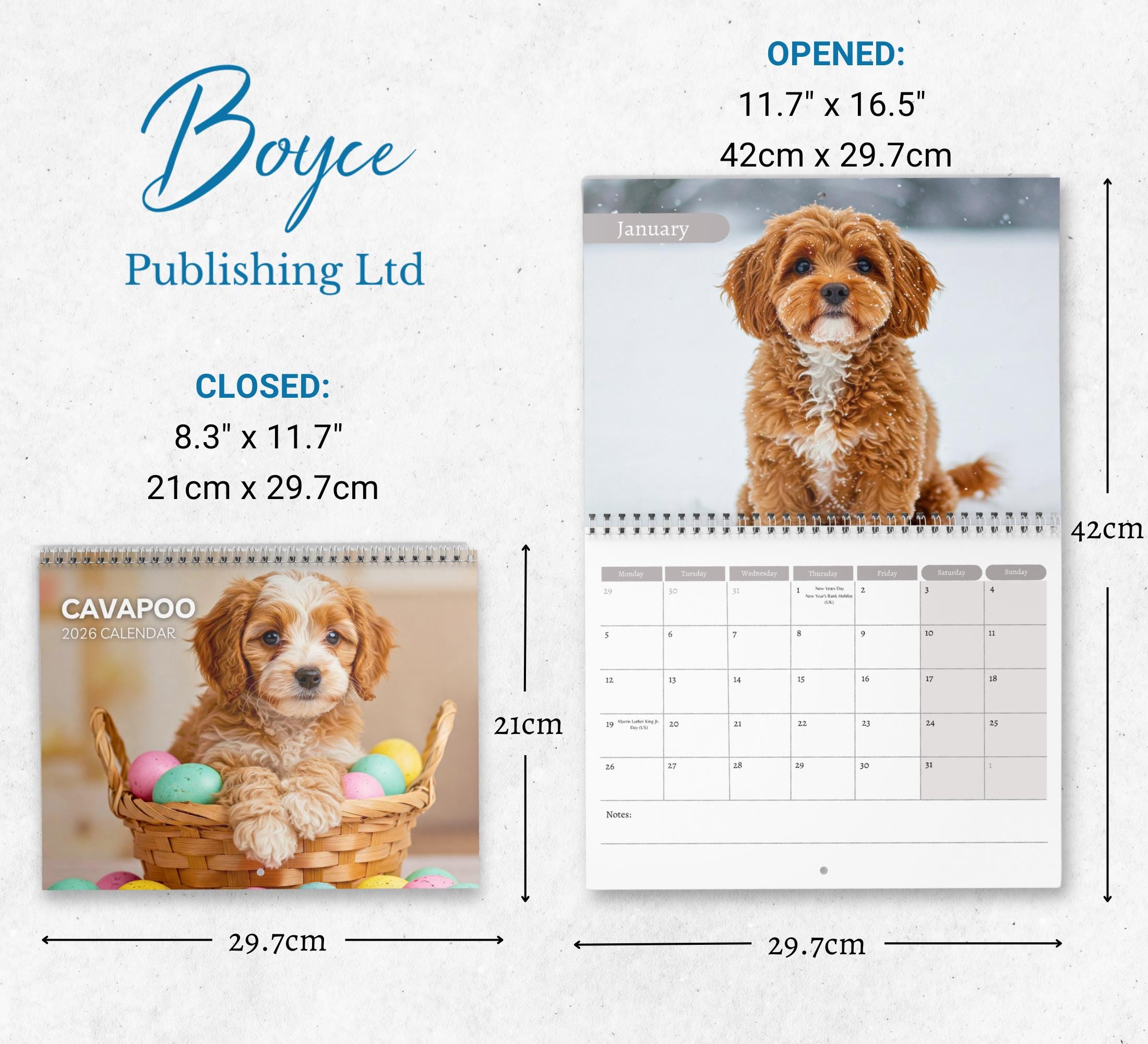 Cavapoo Calendar 2026: Monthly Wall Calendar With Notes, Opens to A3 ...