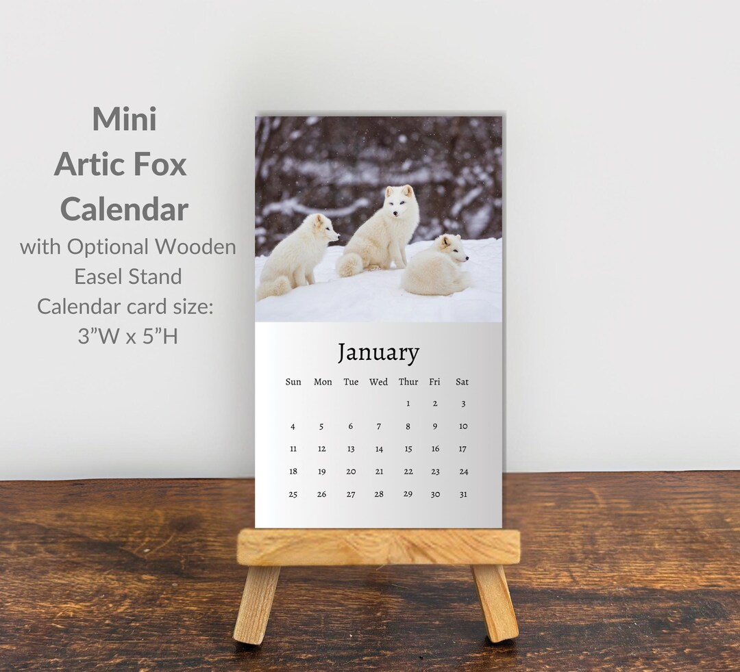 Arctic Fox Calendar 2026: Mini Desk Calendar, Arctic Fox Calendar 2026 ...