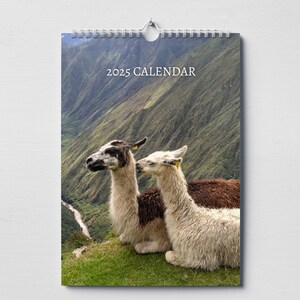 Alpacas Calendar 2025: Monthly Wall Calendar With Notes, Hanging A4 ...