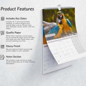 Parrot Calendar 2025: Monthly Wall Calendar With Notes, Hanging A4 Size ...