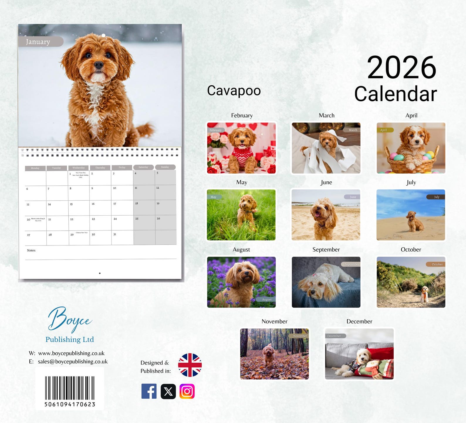 Cavapoo Calendar 2026: Monthly Wall Calendar With Notes, Opens to A3 ...