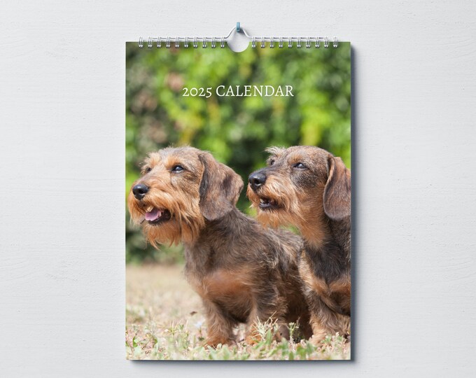 Caterpillar Calendar 2025: Monthly Wall Calendar With Notes, Hanging A4 ...