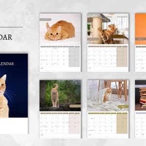 Ginger Cat Calendar 2025: Monthly Wall Calendar With Notes, Hanging A4 ...