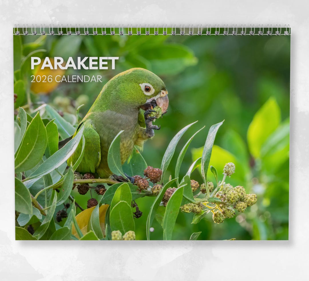 Parakeet Calendar 2026: Monthly Wall Calendar With Notes, Opens to A3 ...
