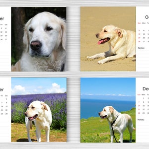 Labrador Desk Calendar 2025-2026: Standing Flip Desktop Calendar With ...