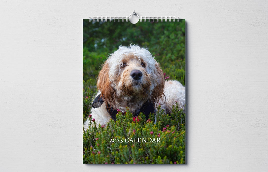 Goldendoodle Calendar 2025: Monthly Wall Calendar With Notes, Hanging ...