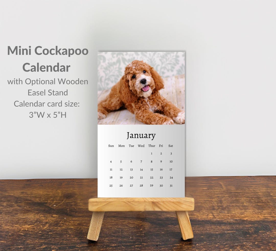 Cockapoo Calendar 2026: Mini Desk Calendar, Cockapoo Calendar 2026-2027 ...