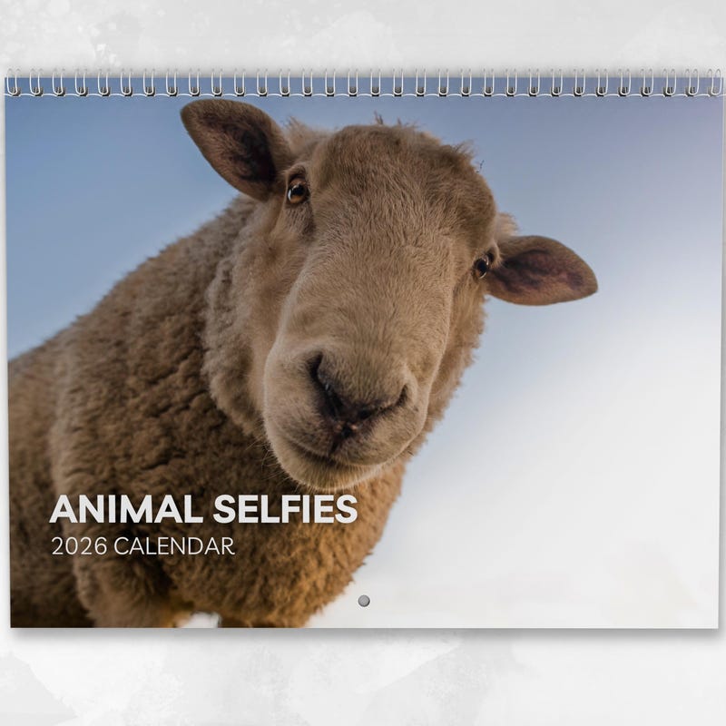 Butt 2026 Calendar - Etsy UK