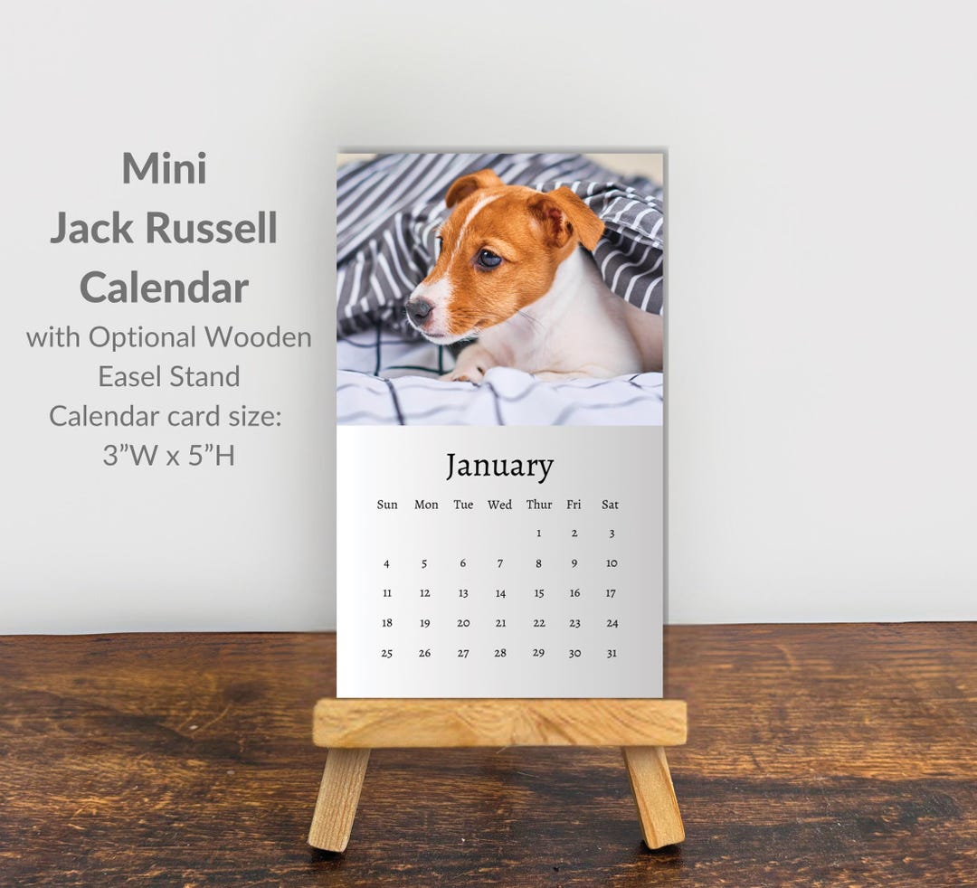Jack Russell Calendar 2026: Mini Desk Calendar, Jack Russell Calendar ...