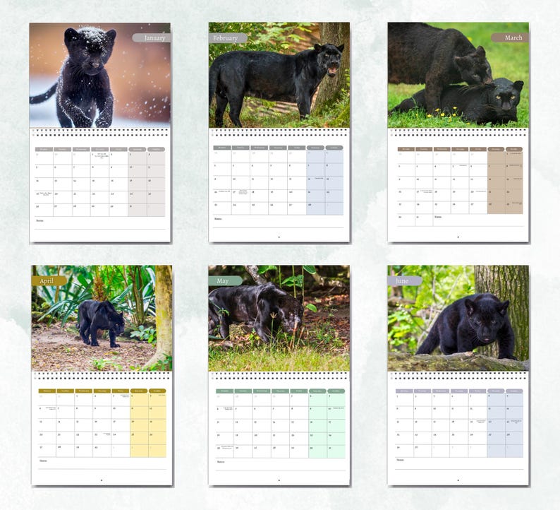 Panther Calendar 2026: Monthly Wall Calendar With Notes, Opens to A3 ...