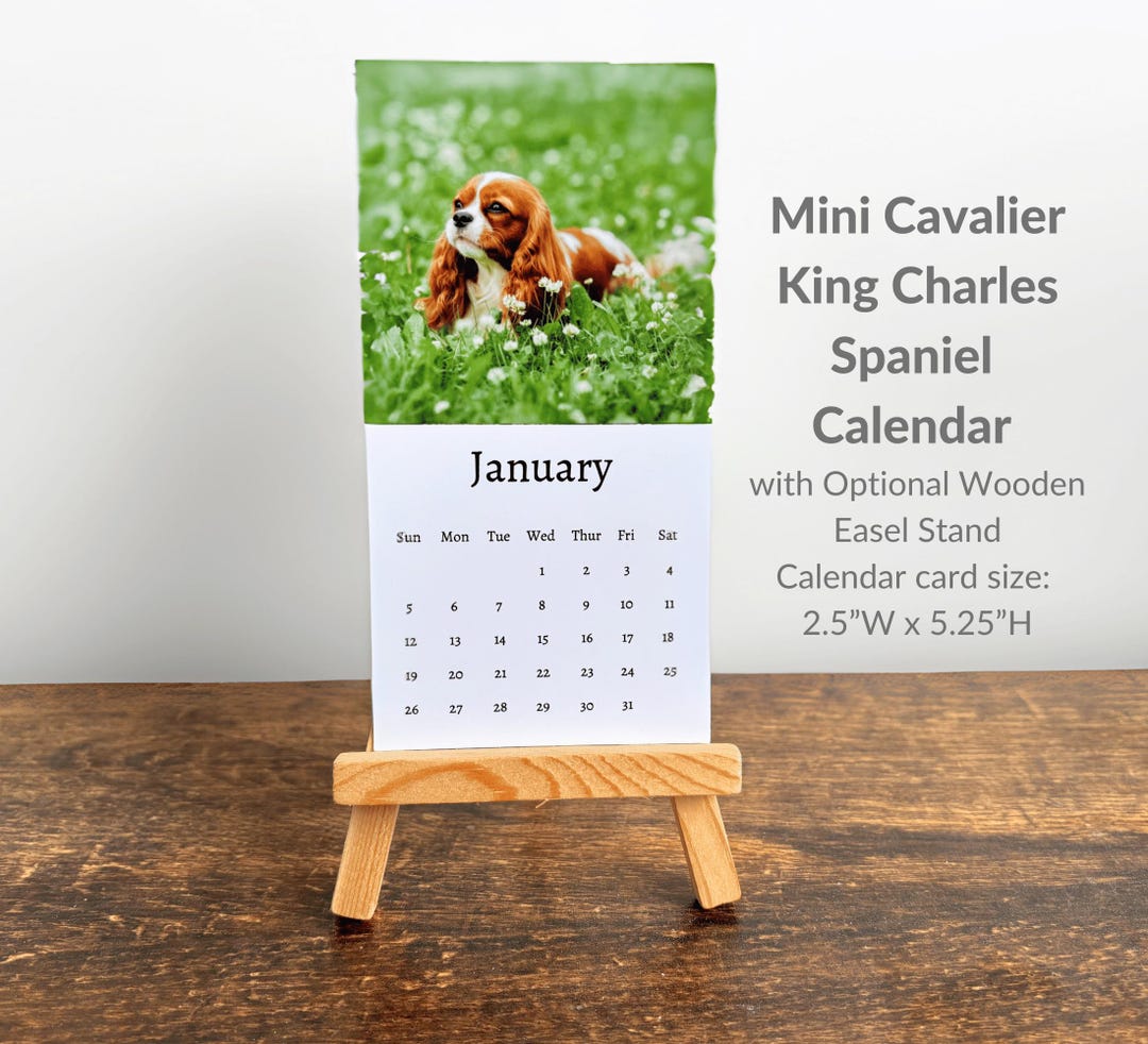 Cavalier King Charles Spaniel Calendar 2025: Mini Desk Calendar ...
