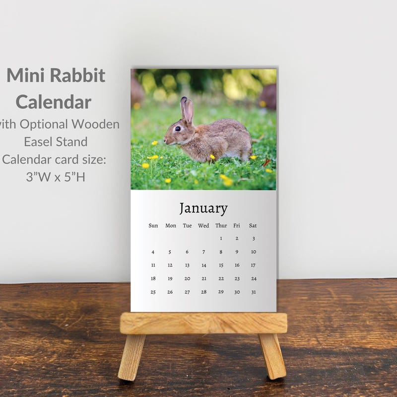 2026 Rabbit Calendar - Etsy UK