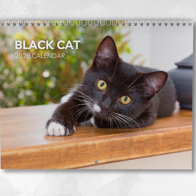 Black Beauty Advent Calendar - Etsy UK