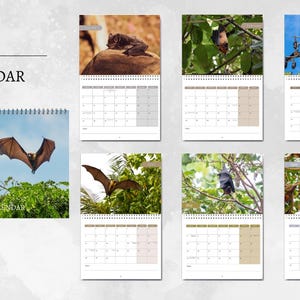 Bat Calendar 2025: Monthly Wall Calendar With Notes, Opens to A3 Size ...