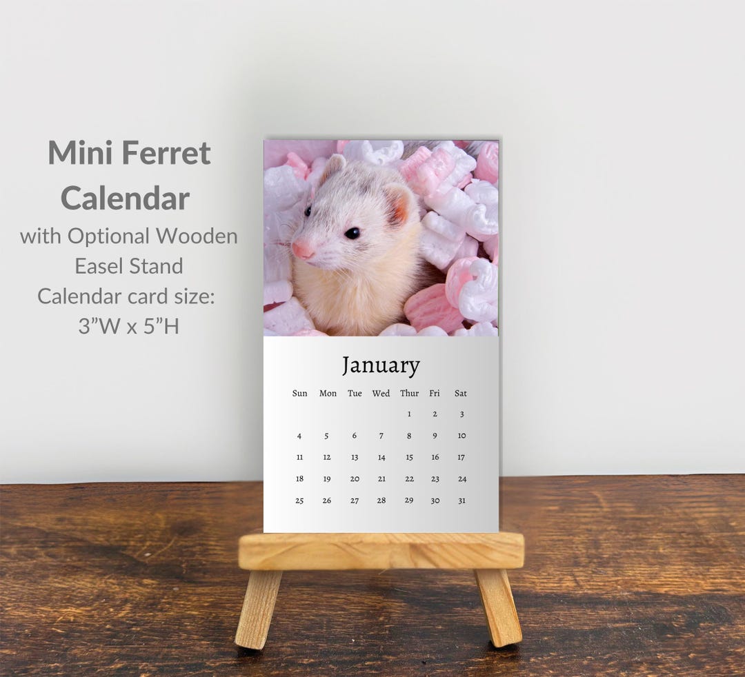 Ferret Calendar 2026: Mini Desk Calendar, Ferret Calendar 2026-2027 ...