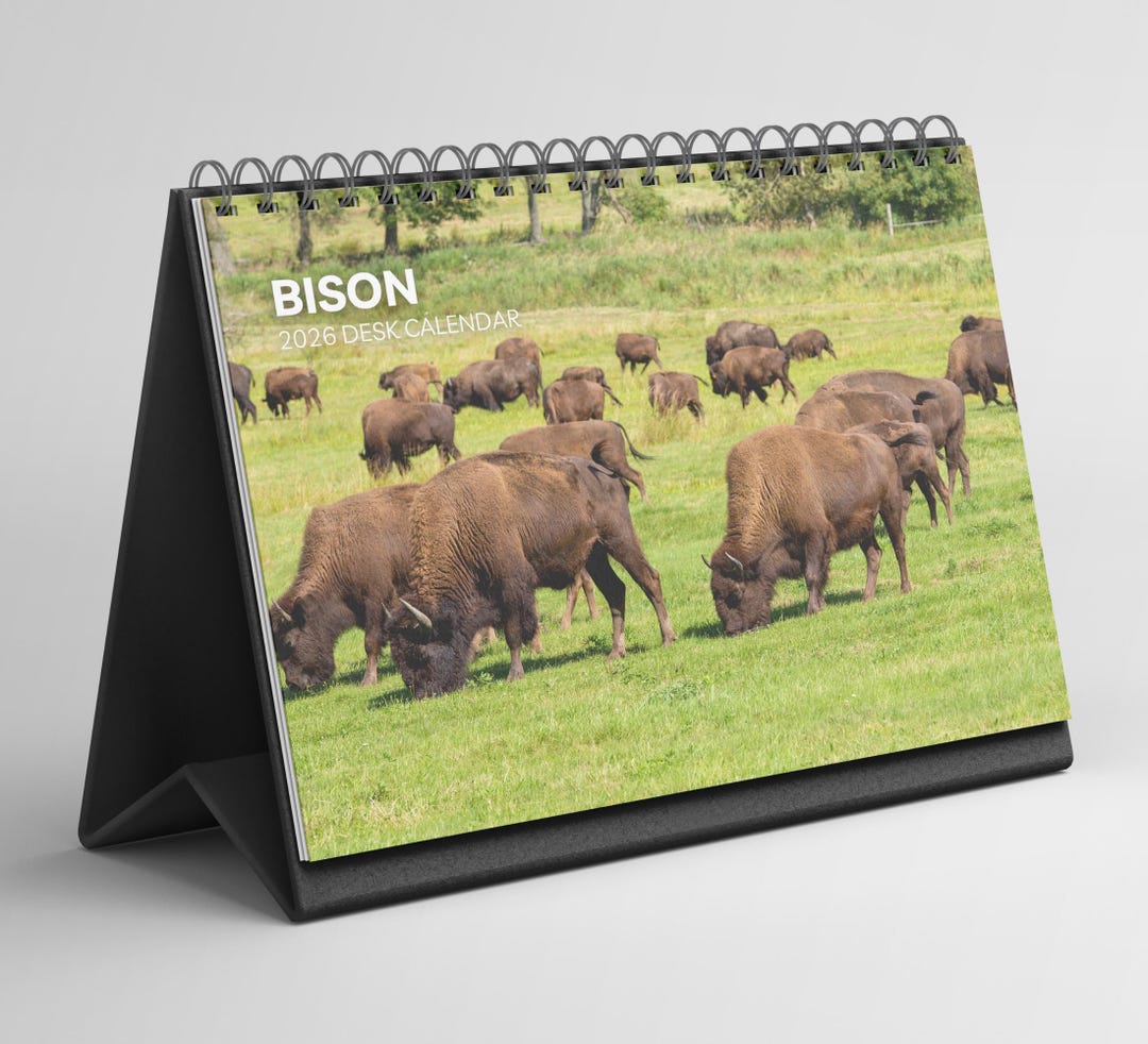 Bison Desk Calendar 2026-2027: Standing Flip Desktop Calendar With ...