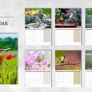 Garden Birds Calendar 2025: Monthly Wall Calendar With Notes, Hanging ...